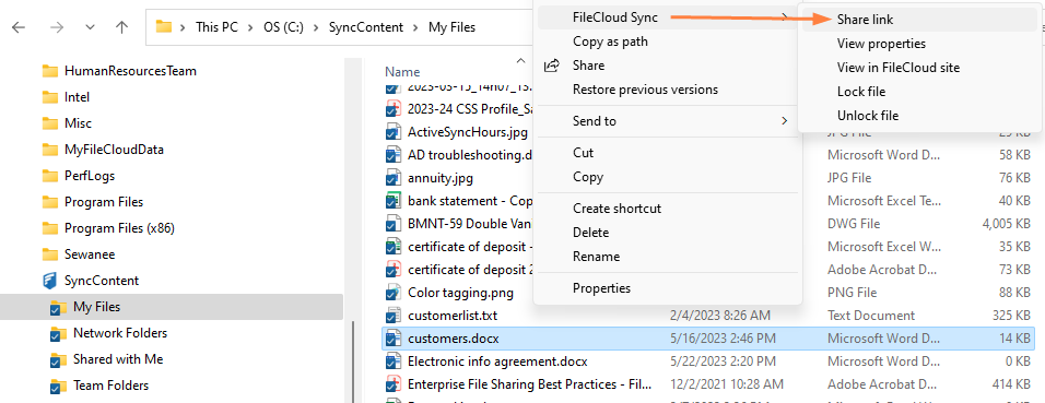 Sharing Files Publicly In Sync Filecloud Docs Online