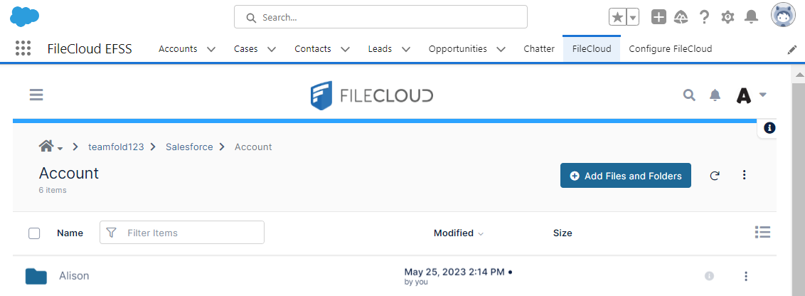 Integrating FileCloud with Salesforce - FileCloud Docs - Server